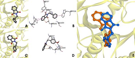 Binding Mode Of Two Representative Compounds With Homo Sapiens Ache
