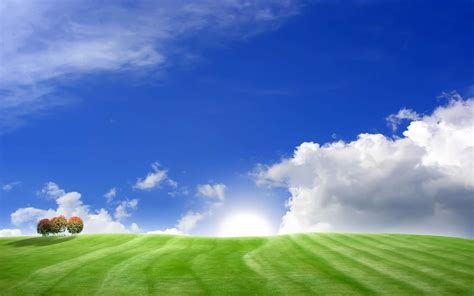 منظره طبیعتی سرسبز