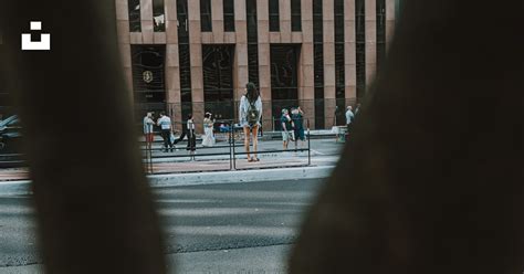 나뭇가지로 본 건물의 모습 사진 Unsplash의 무료 매일 이미지