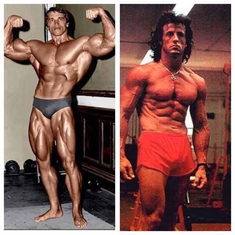 Sylvester Stallone Vs Arnold Schwarzenegger