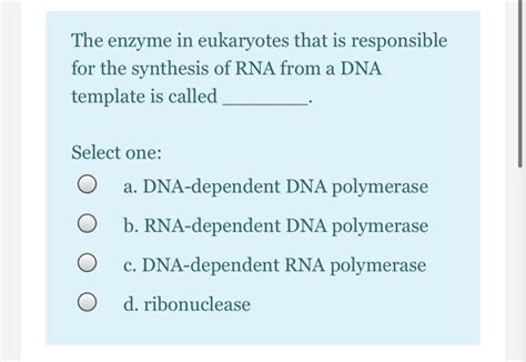 Solved The Enzyme In Eukaryotes That Is Responsible For The
