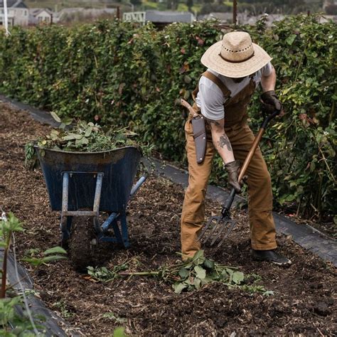 باغبانی آموزشگاه فنی و حرفه ای بوستان رشت
