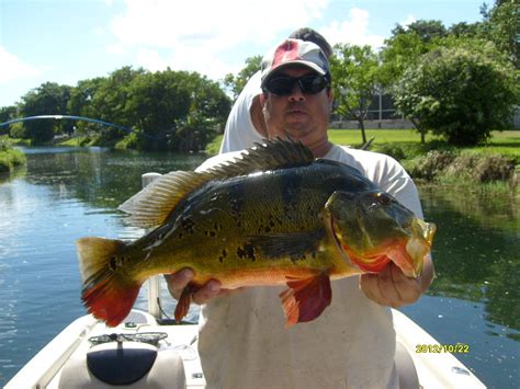 South Florida Bass Fishing