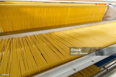 파스타 생산 공정 컨베이어 벨트에 파스타의 다양한 종류 0명에 대한 스톡 사진 및 기타 이미지 0명 공장 산업 건물 사진 이미지 Istock