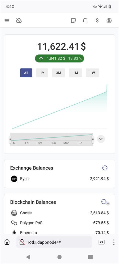 Using Rotki From Mobile Rotki Documentation