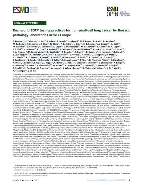 Pdf Real World Egfr Testing Practices For Non Small Cell Lung Cancer