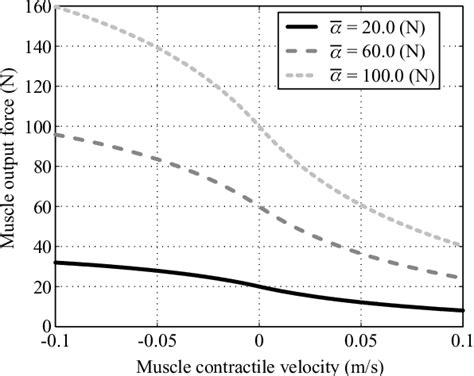 Figure 1 From On Control Of Reaching Movements For Musculo Skeletal Redundant Arm Model
