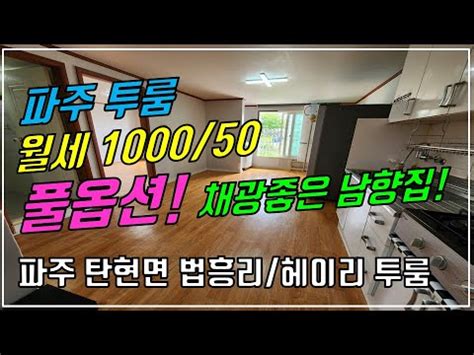 파주 탄현면 법흥리 성동리 갈현리 축현리 통일동산 파주영어마을 헤이리 투룸 월세 1000 50만 풀옵션 개방감 좋고 채광좋은
