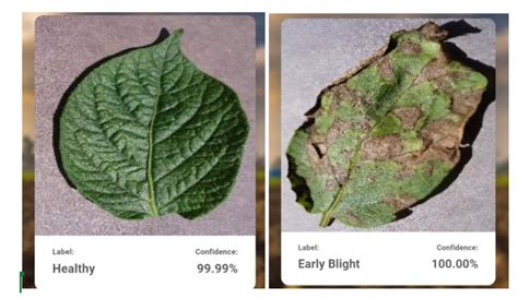 Github Satyam Sys Plant Disease Classification Using Cnn