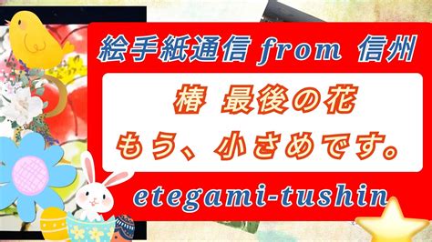 絵手紙通信 from 信州 椿 最後の花もう小さめですetegami tushin YouTube