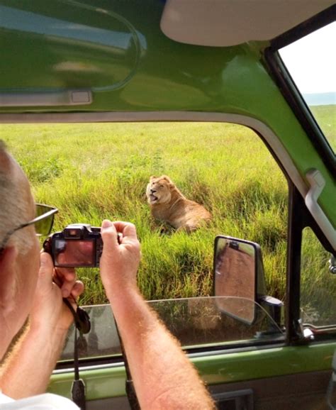 Gallery African Quest Safaris