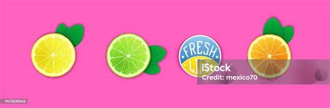 감귤류 세트 밝은 라벨이있는 레몬 오렌지 라임 및 민트 잎 조각 신선한 삶 벡터 포스터 3차원 형태에 대한 스톡 벡터 아트 및 기타 이미지 Istock