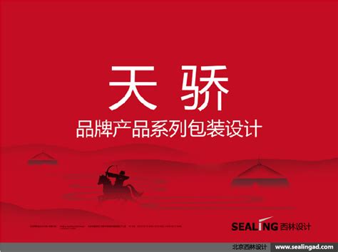 沙棘 西林产品包装设计