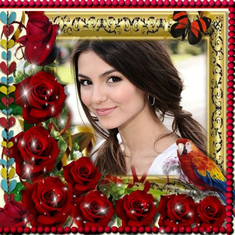 Marialedesma1958 S Picture Frames 2014 January 2014 May The Beauty Of Red Roses Move