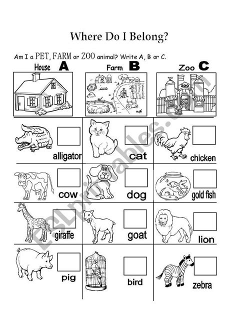 The Worksheet For Which Animals Are In Their Cages And Where Do I Belong