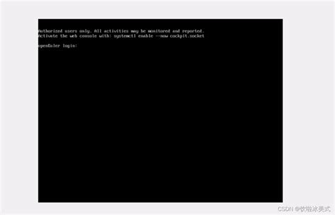 openeular入门操作（仅供学习哦~） open euler如何使用 csdn博客