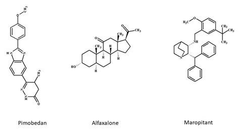 Cyclodextrin News