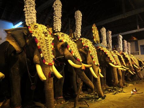 Premium Photo Elephants Decorated During Procession At Temple