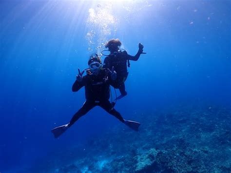 ブルーフォレスト宮古島 宮古島の観光・オプショナルツアー専門予約サイト Veltra（ベルトラ）