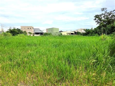 農地太乙工業區旁202坪農地台南市仁德區太新段 樂屋網 土地買賣
