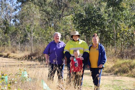 dig in for national tree day and help singleton grow singleton council