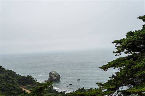 랜 즈 엔드 샌 프란 시스 코에서에서 보기입니다 여름 구름 바위 바다 식물 0명에 대한 스톡 사진 및 기타 이미지 0명