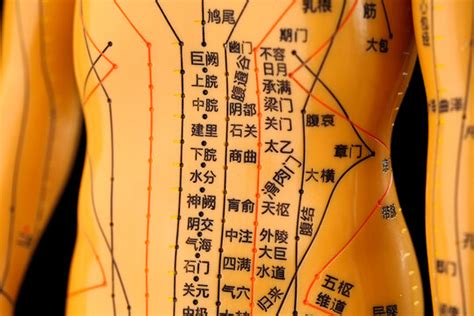 针灸图片素材 针灸设计素材 针灸摄影作品 针灸源文件下载 针灸图片素材下载 针灸背景素材 针灸模板下载 搜索中心