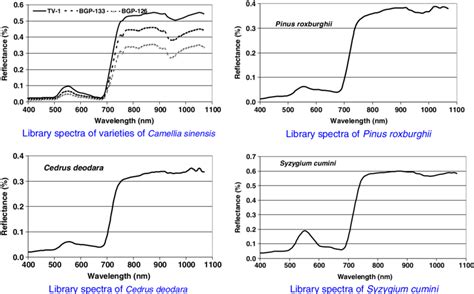Sample Spectral Plots Of Library Download Scientific Diagram