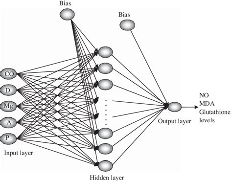 The Architecture Of The Nn Download Scientific Diagram