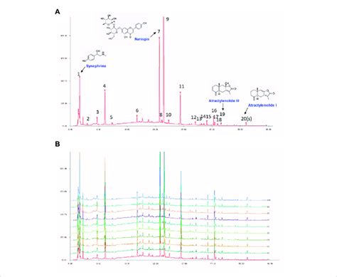 Hlpc Fingerprint Of The Standard Reference And Zzkz A Chromatogram
