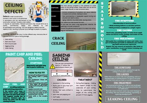 Ceiling Defect Pdf Mold Ceiling