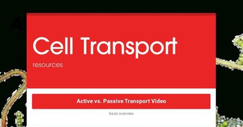 Cell Transport