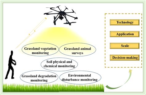 Remote Sensing Free Full Text Unmanned Aerial Vehicle Uav Remote Sensing In Grassland