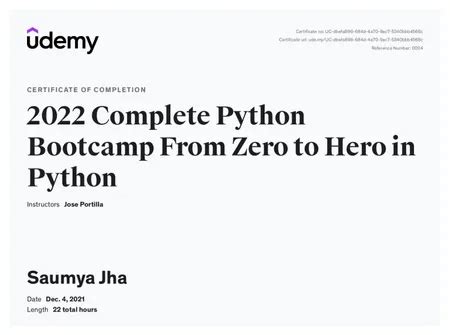 Portfolio Saumya Jha Codebasics