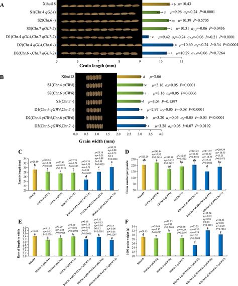 Frontiers Genetic Dissection Of Qtl For Important Agronomic Traits And Fine Mapping Of Qgl4