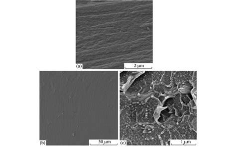 Cross Sectional Fesem Micrograph Of A Pei [34] And B Top View And