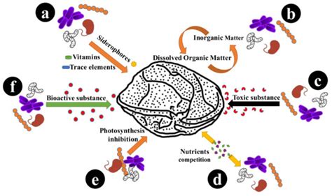 Toxins Special Issue Emerging Marine Biotoxins