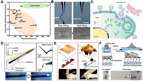 Biosensors Special Issue Advanced Biosensors And Bioelectronics