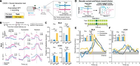 Figure 2 From Identifying And Modulating Neural Signatures Of Stress