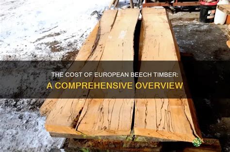 The Cost Of European Beech Timber A Comprehensive Overview Shuncy