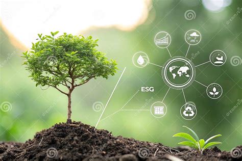 Esg Concept Environmental Social And Governance Icon With Tree Stock