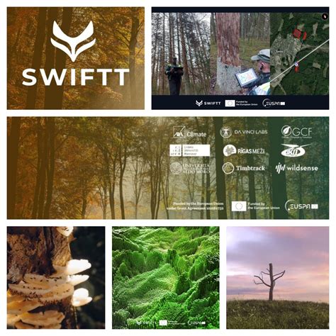 Forest Management New Tool Utilizes Copernicus Satellite Data And Advanced Artificial