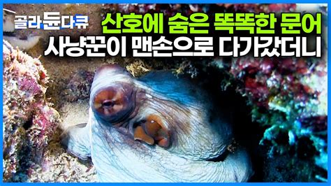 지능 높은 바다 문어 겨우 잡는 인도네시아 오지 섬 삼형제｜산소통도 없이 문어 맨손으로 잡는 문어 사냥꾼｜상어 피해 문어 잡는 마을｜인간과바다｜골라듄다큐 Youtube