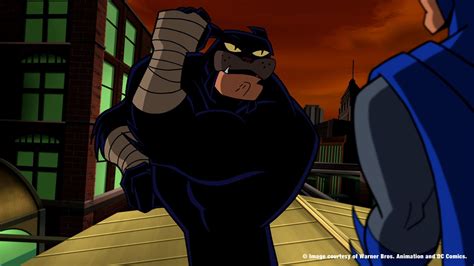 Wildcat Batman The Brave And The Bold Fanon Wiki Fandom