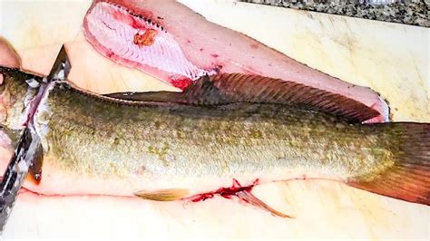 Bowfin Clean And Cook YouTube