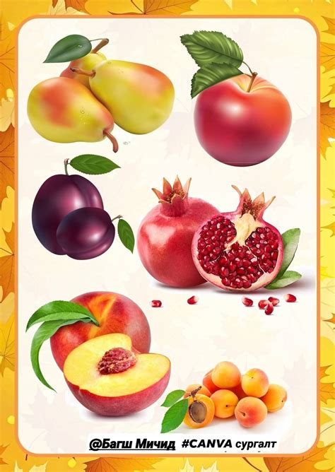 Багш Мичид 🌟 Цэцэрлэгийн багш бүрт зориулсан бүтээлч Facebook