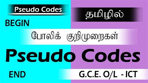 Pseudo Code In Tamil Ol Ict Grade 11 Youtube