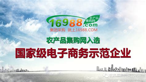 农产品集购网入选国家级电子商务示范企业