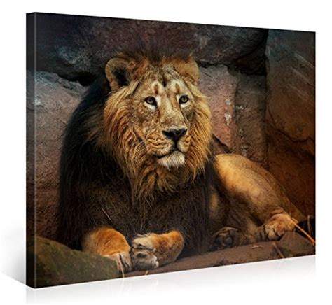 Powerful Captivating And Majestic Lion Wall Art Animal Wall Decor