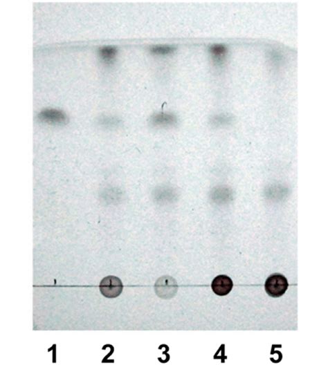 thin layer chromatography tlc analysis of diffusible signal factor